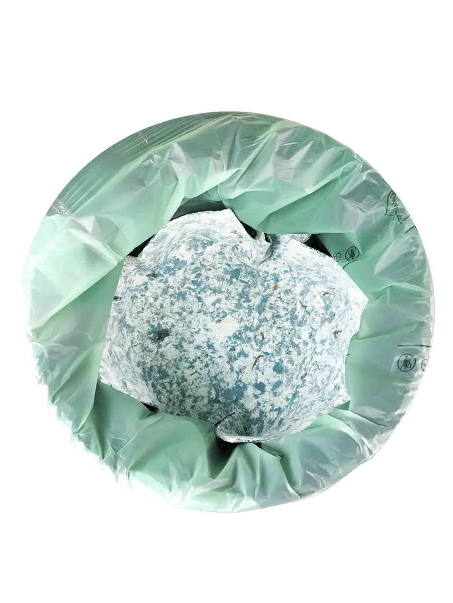 Absorb 2-pack – evergreen